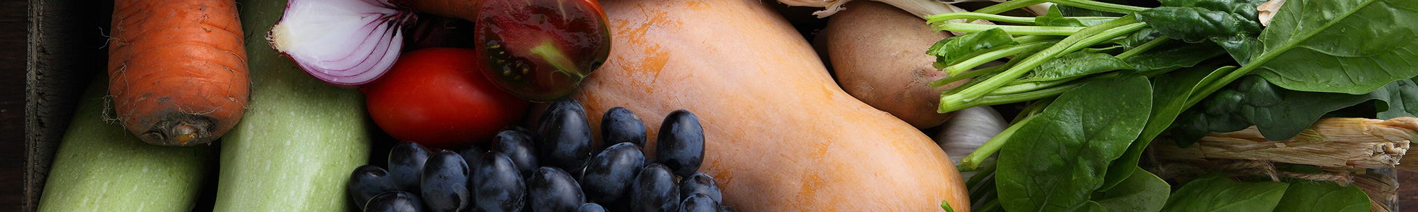 Daily Dinner Specials at the Chatham Grill in Chatham, NY